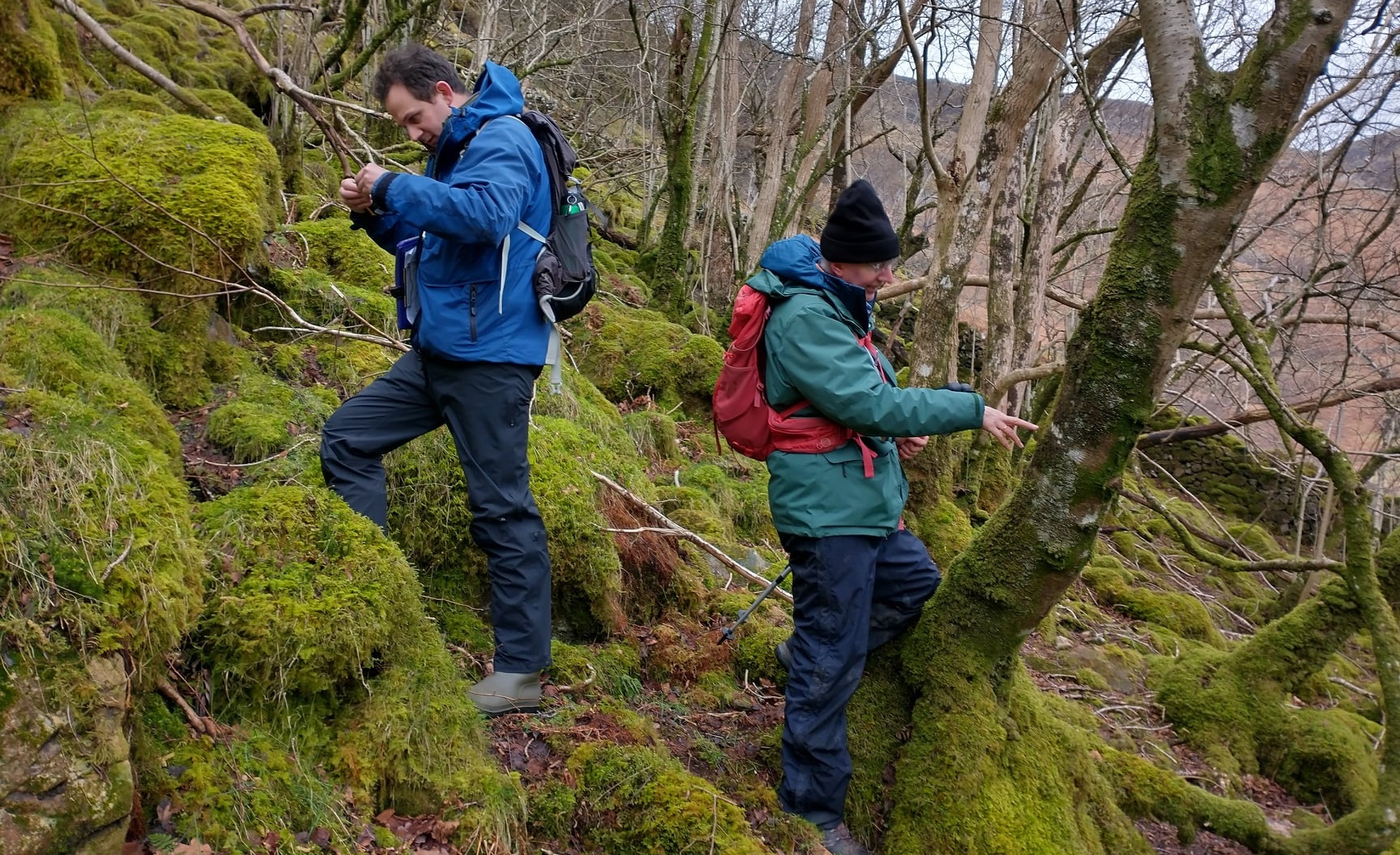 Bryophyte and Lichen Training, February 2022 – Cumbria Lichens and ...