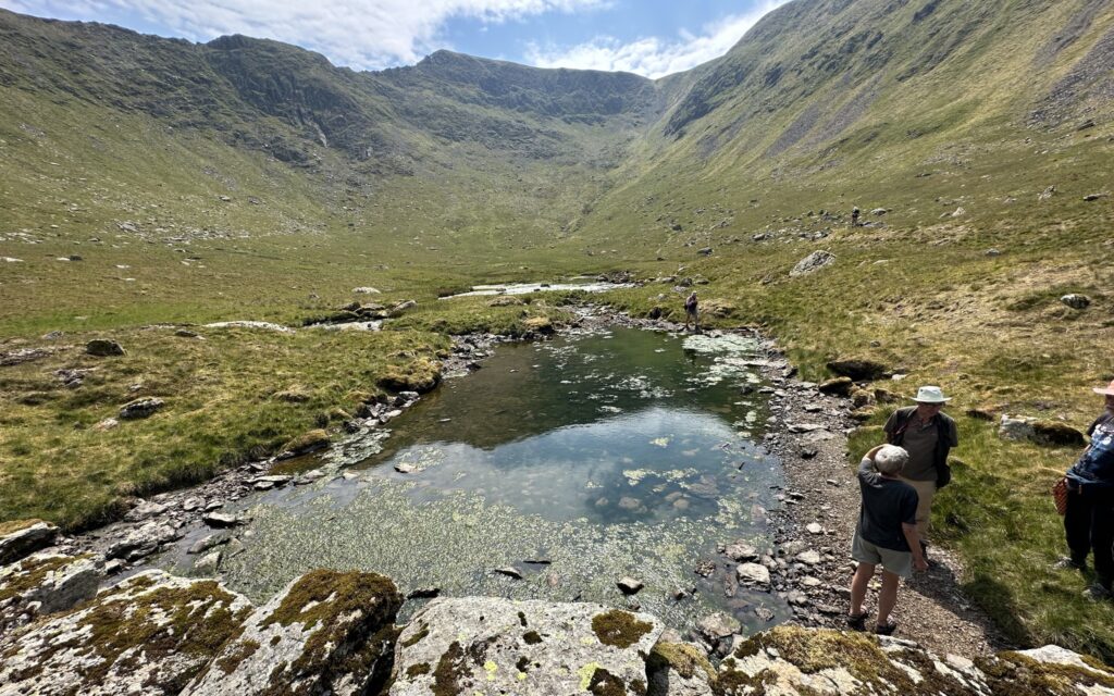 Brown Cove bryophyte trip report 11-6-23 – Cumbria Lichens and Bryophytes