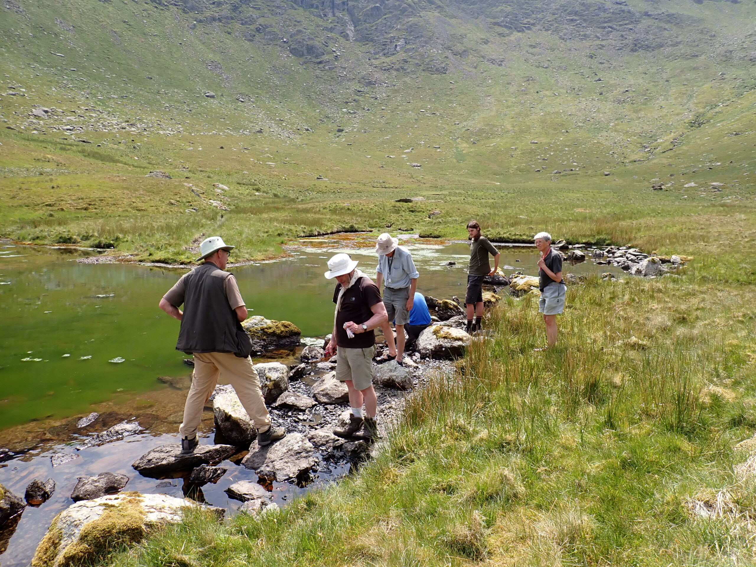 Brown Cove Lichen Report 11 June 2023 – Cumbria Lichens and Bryophytes